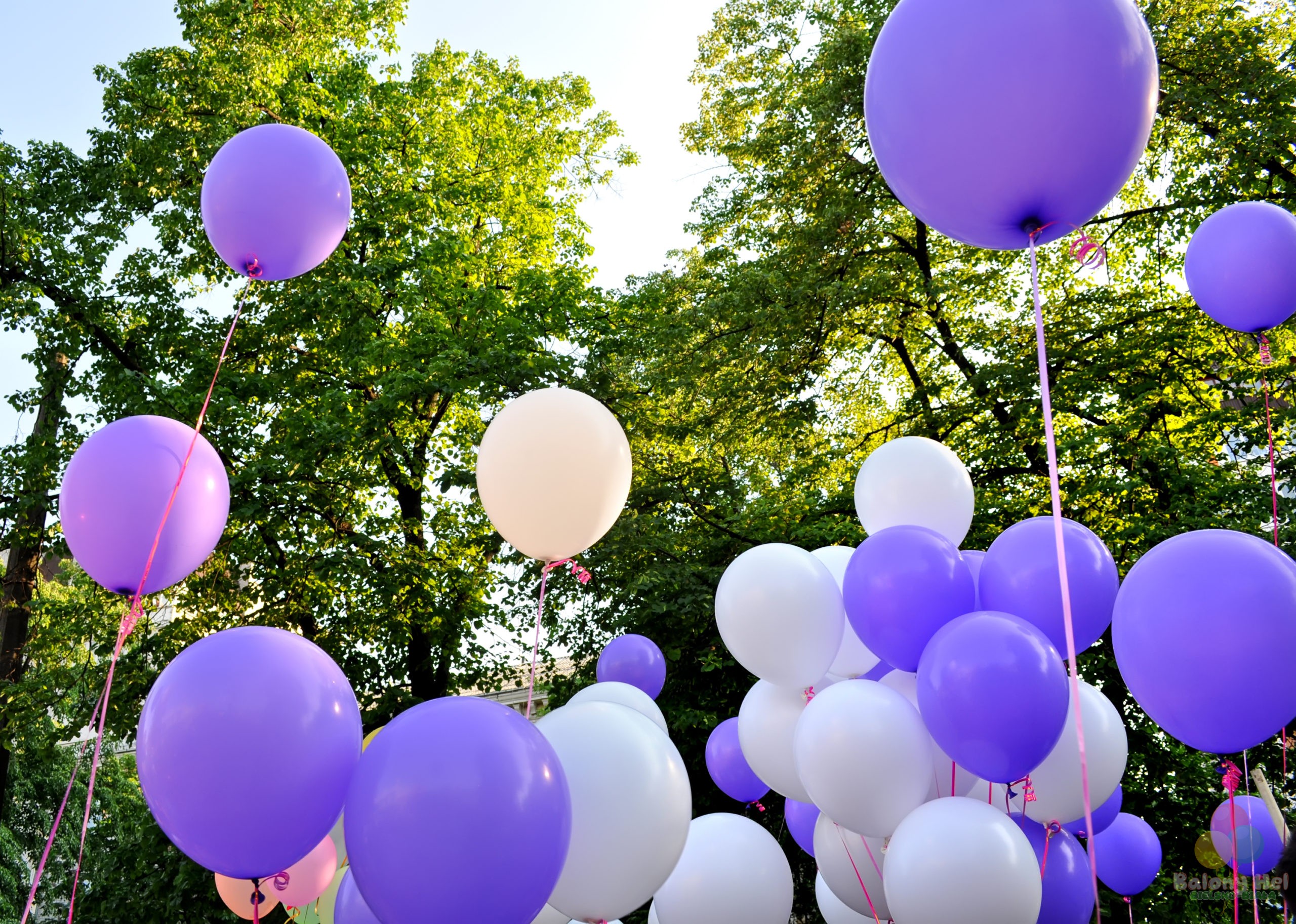 Balon My Little Pony - Balony Bielsko Dekoracje Bielsko